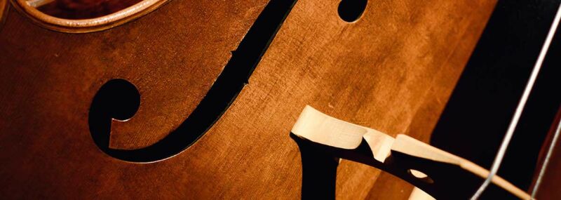 The Cello - Paris Music Institute