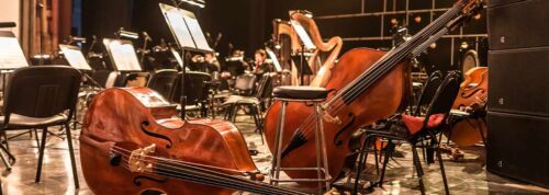History of the Double Bass - Paris Music Institute