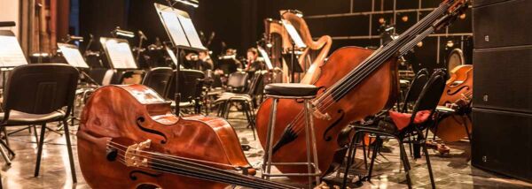 History of the Double Bass - Paris Music Institute